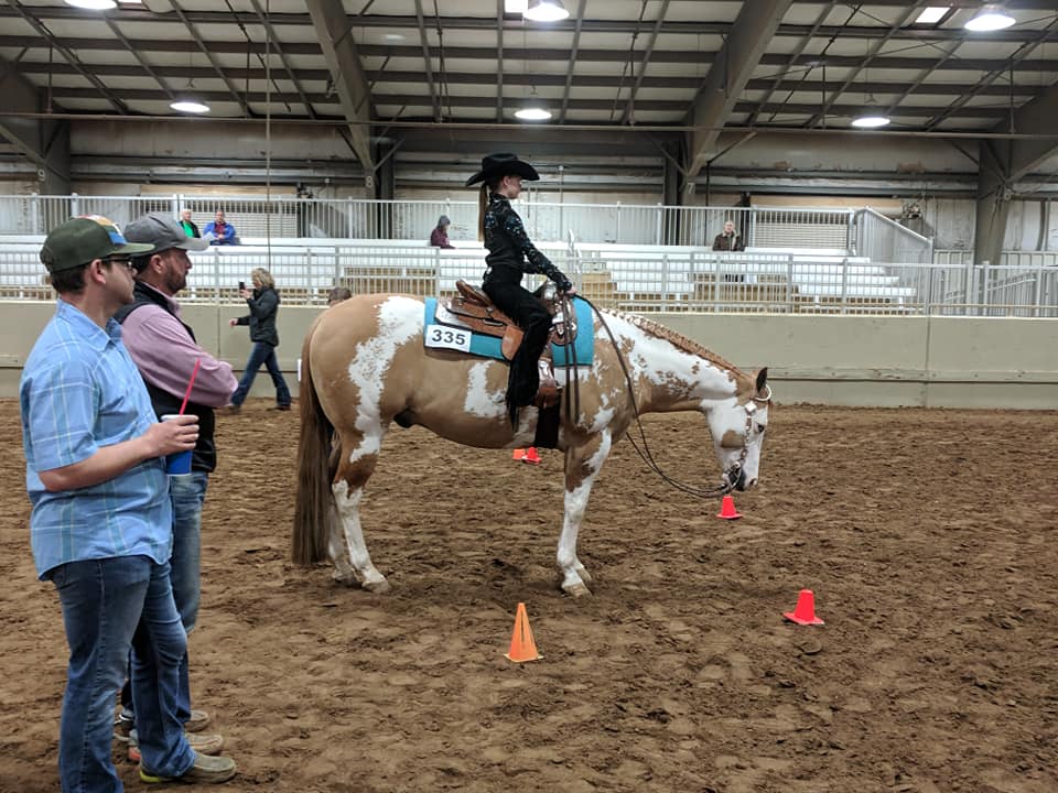 Oklahoma Pinto Horse Association
