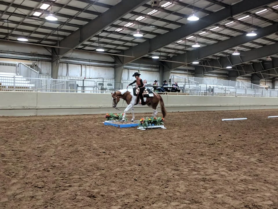 Oklahoma Pinto Horse Association