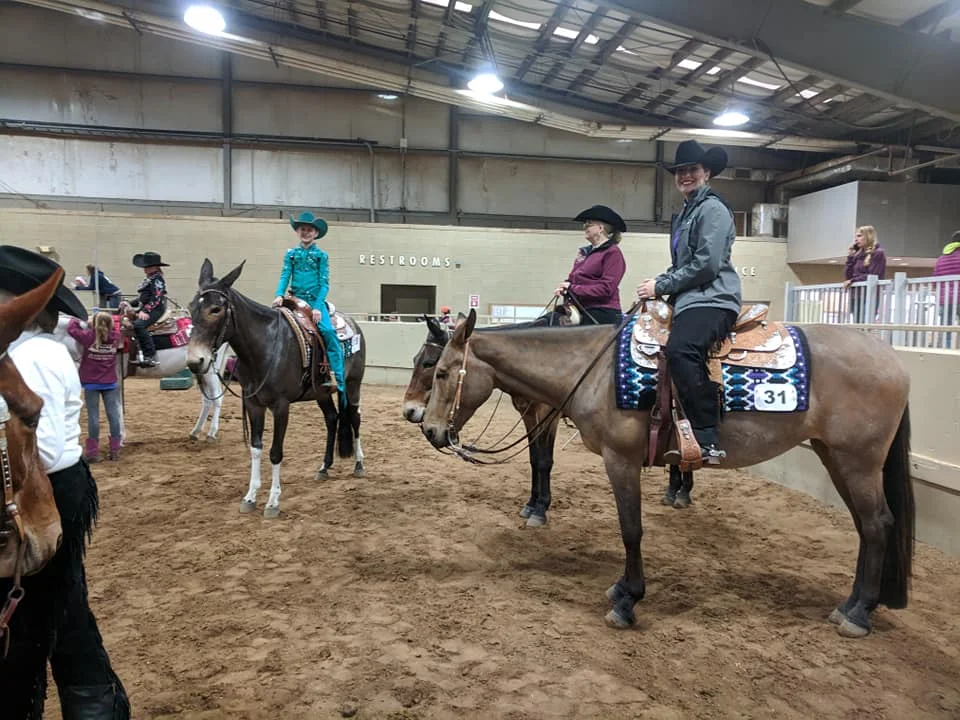 Oklahoma Pinto Horse Association