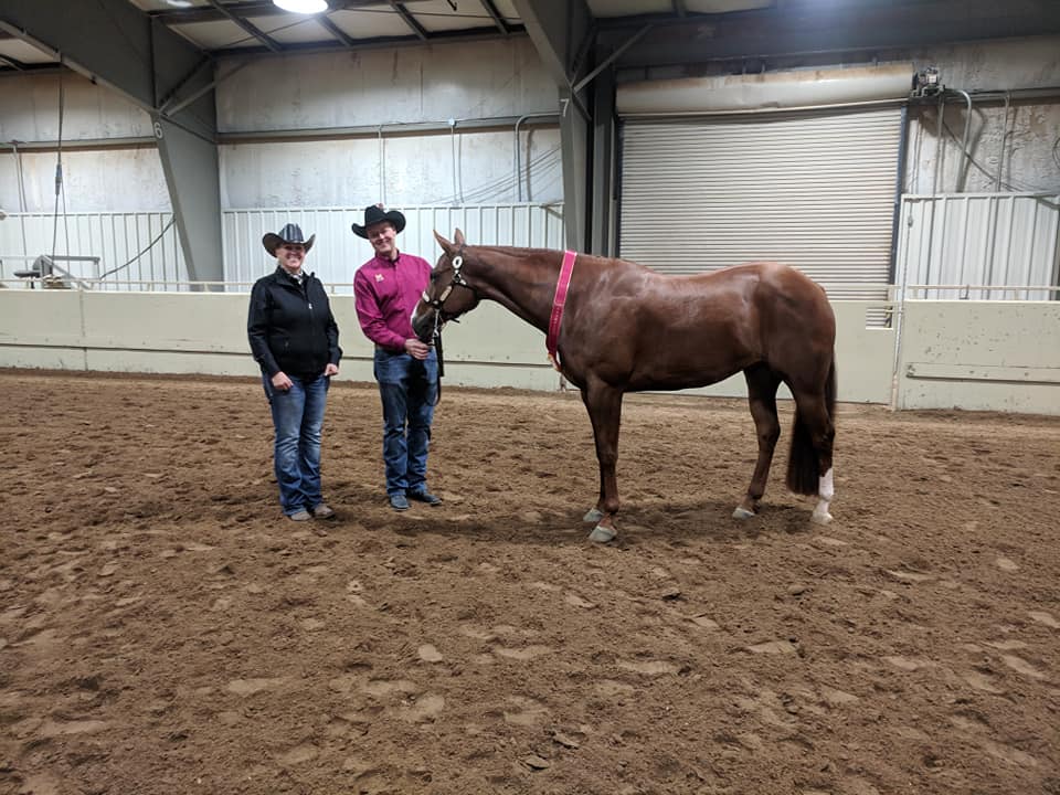 Oklahoma Pinto Horse Association