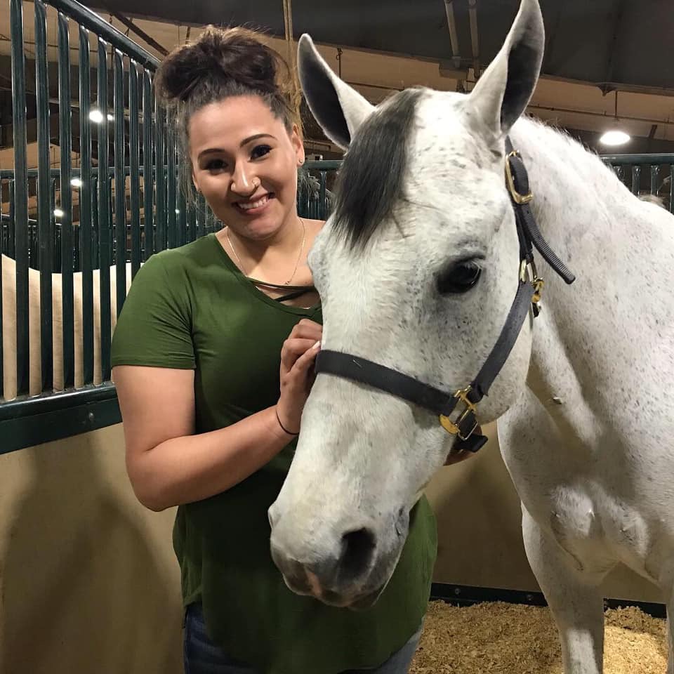 Oklahoma Pinto Horse Association