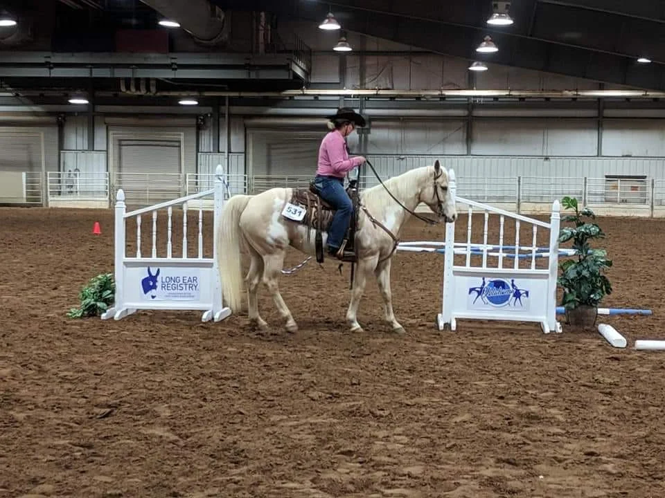 Oklahoma Pinto Horse Association