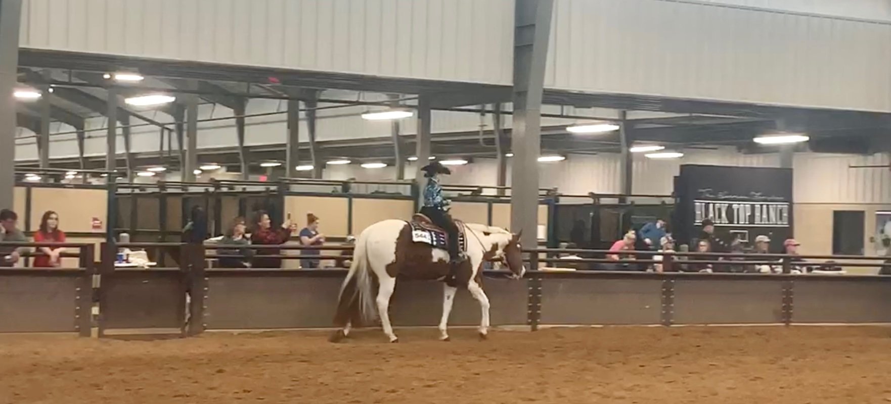 Oklahoma Pinto Horse Association