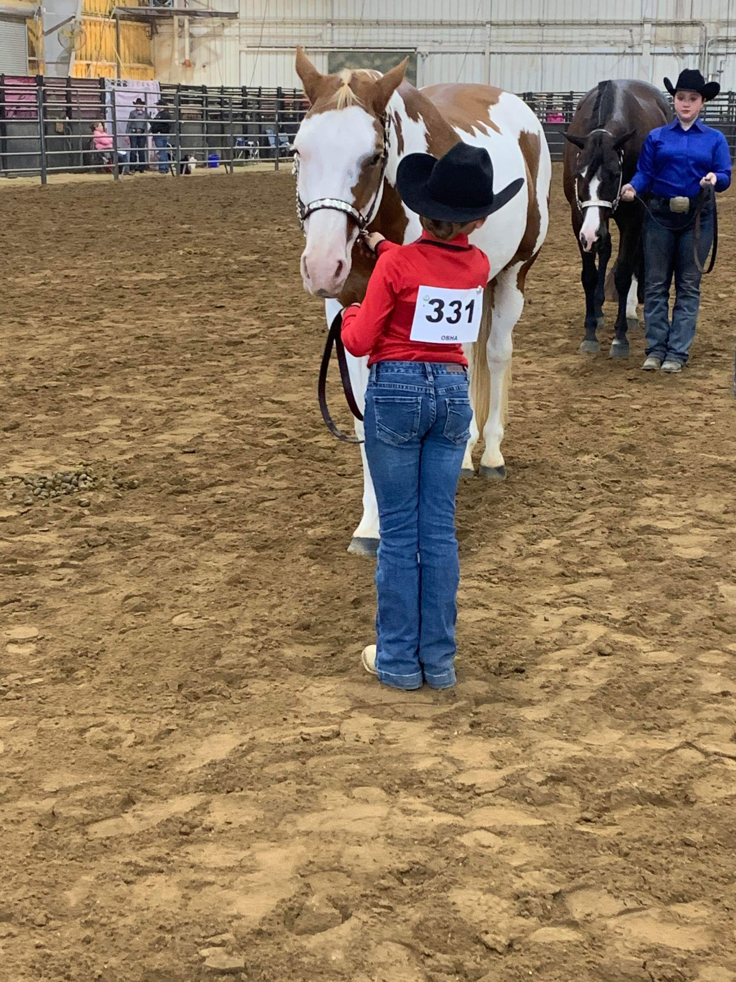 Oklahoma Pinto Horse Association