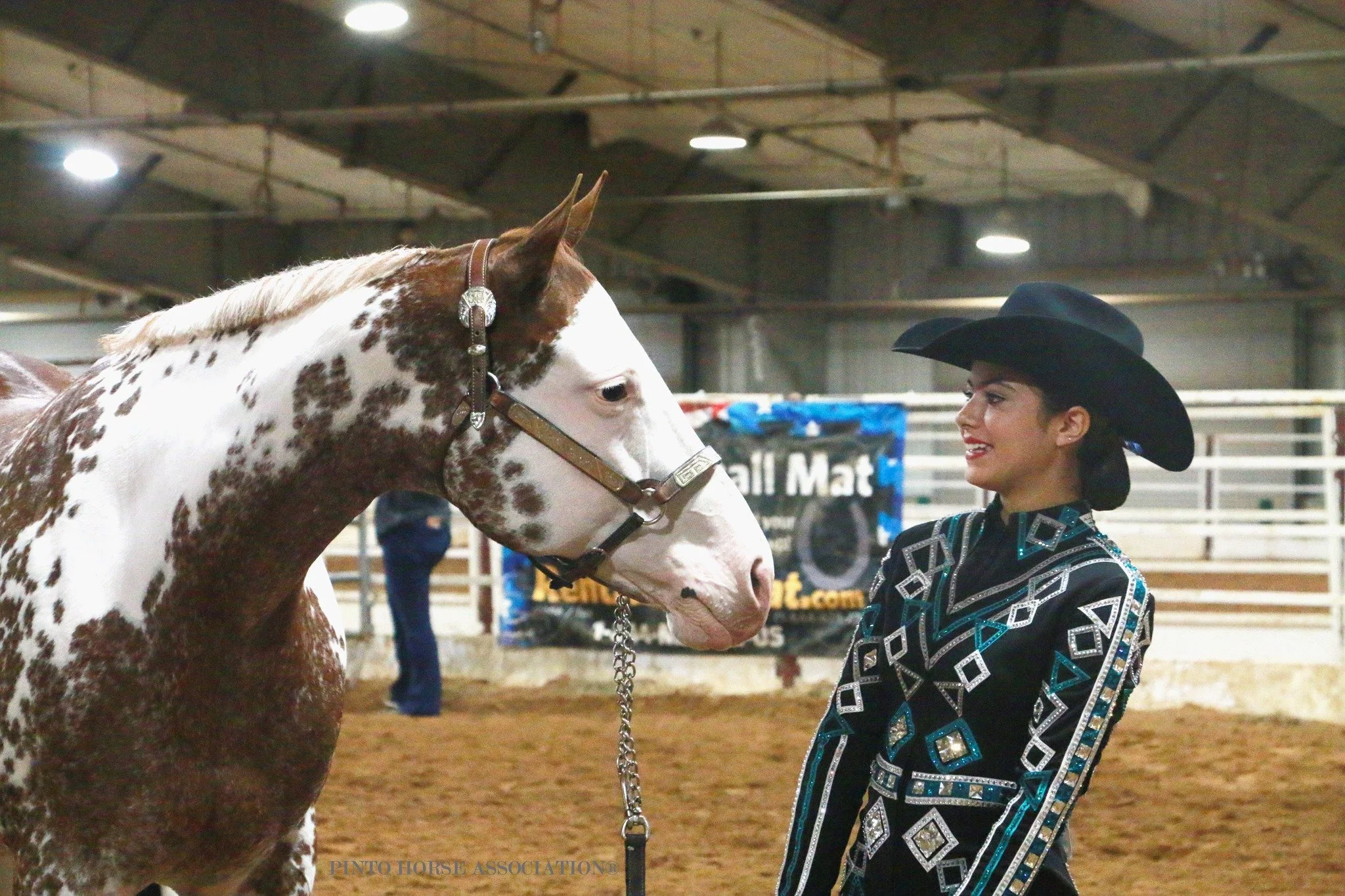 Oklahoma Pinto Horse Association