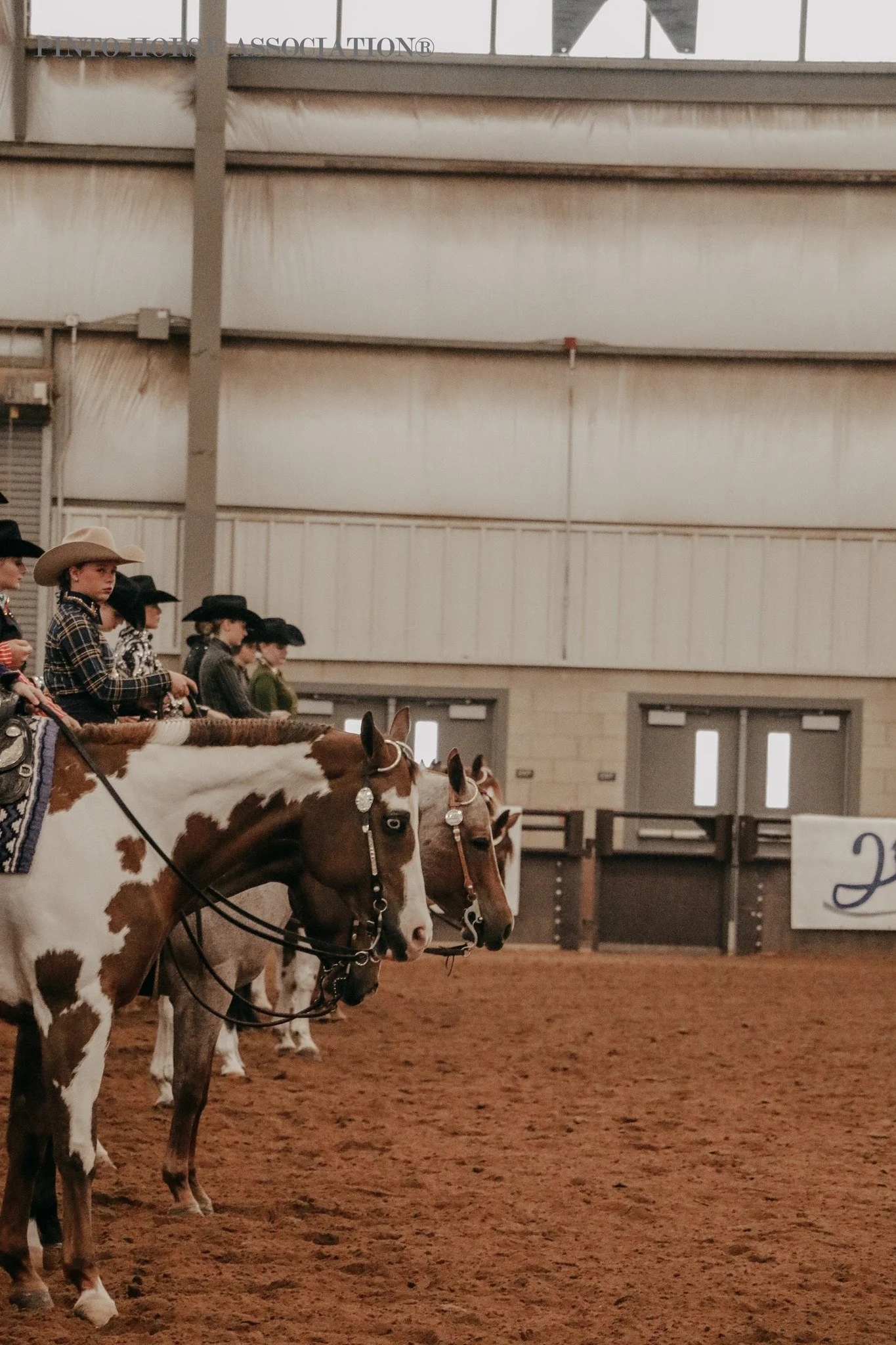 Oklahoma Pinto Horse Association