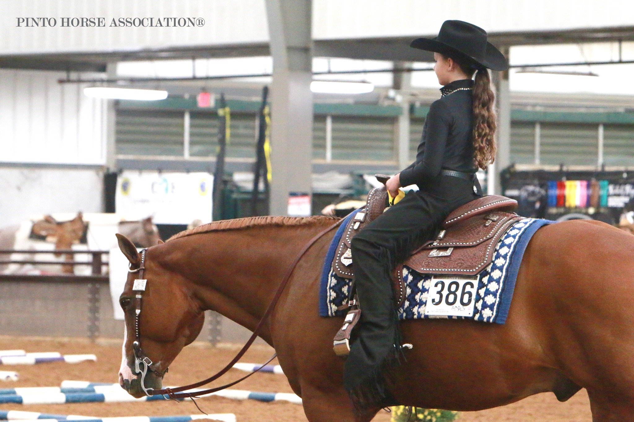 Oklahoma Pinto Horse Association