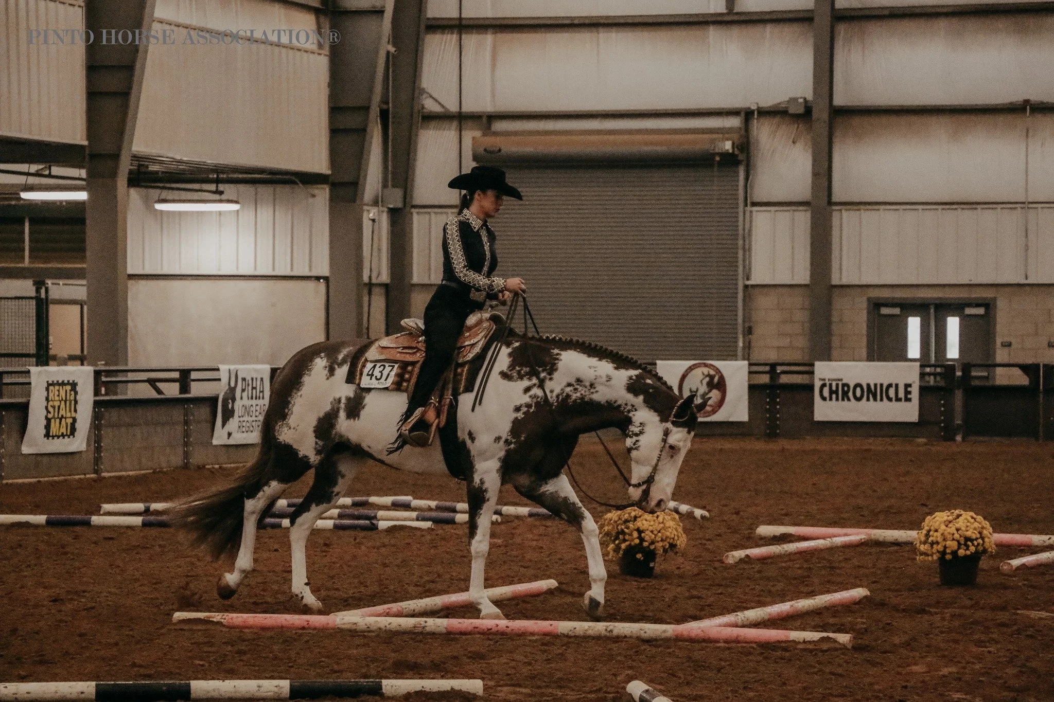 Oklahoma Pinto Horse Association