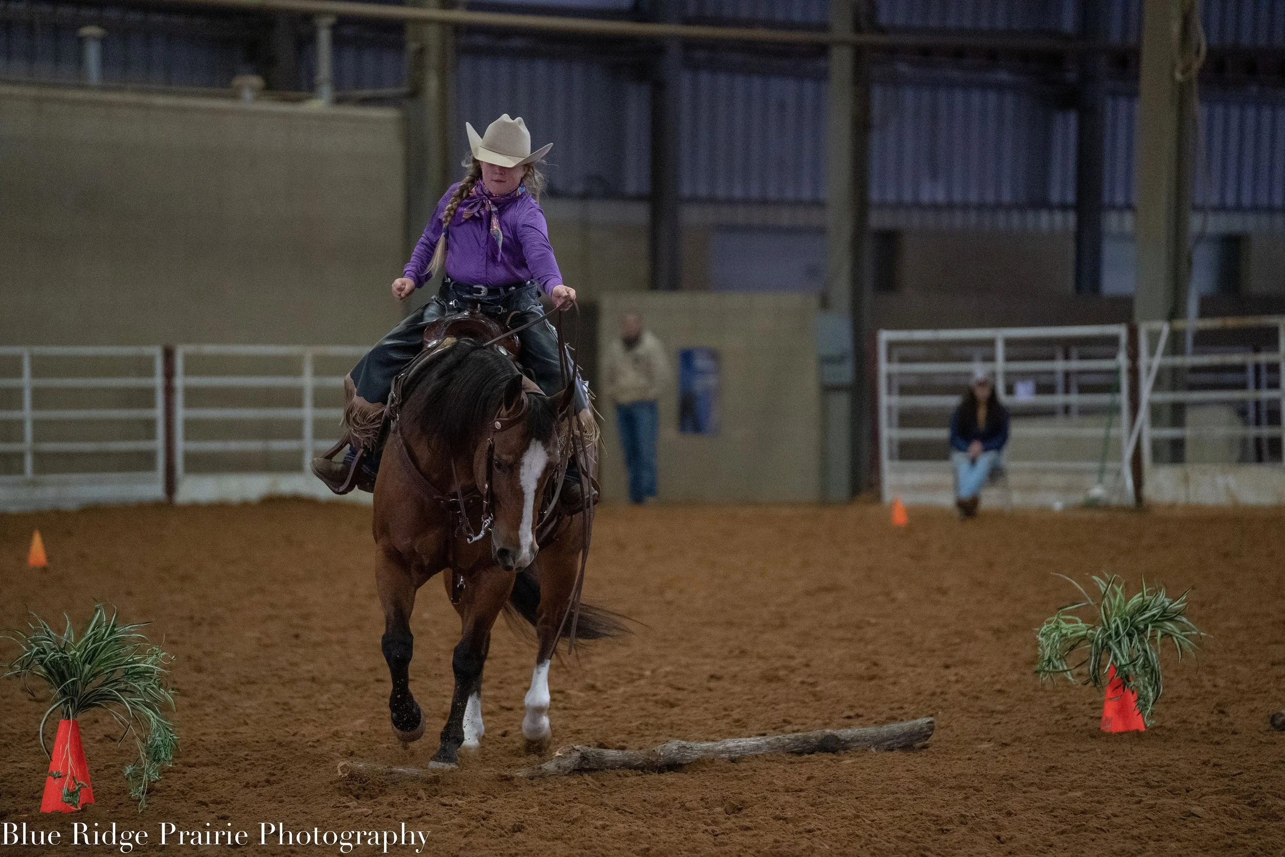 Oklahoma Pinto Horse Association