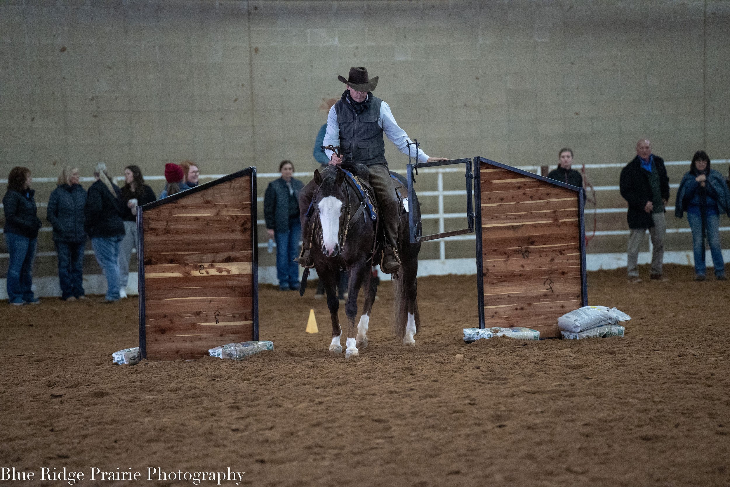 Oklahoma Pinto Horse Association