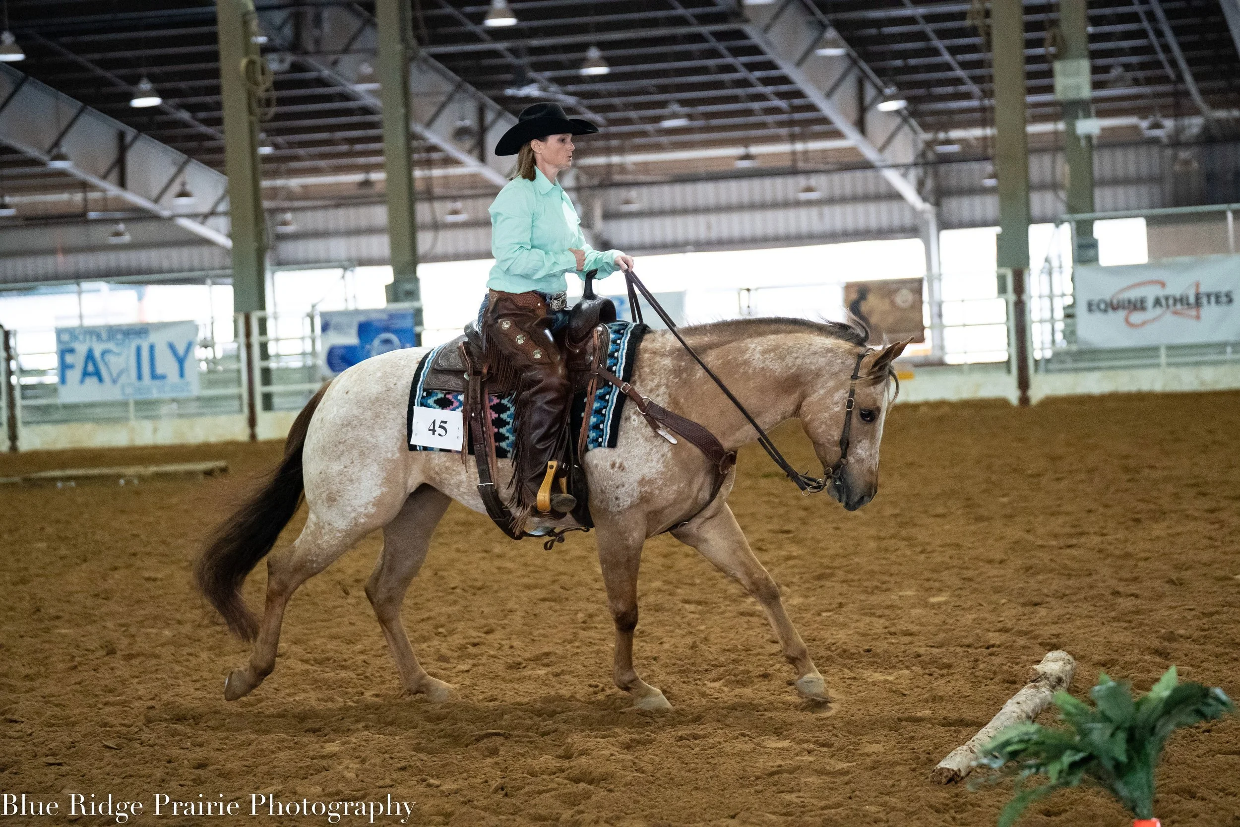 Oklahoma Pinto Horse Association