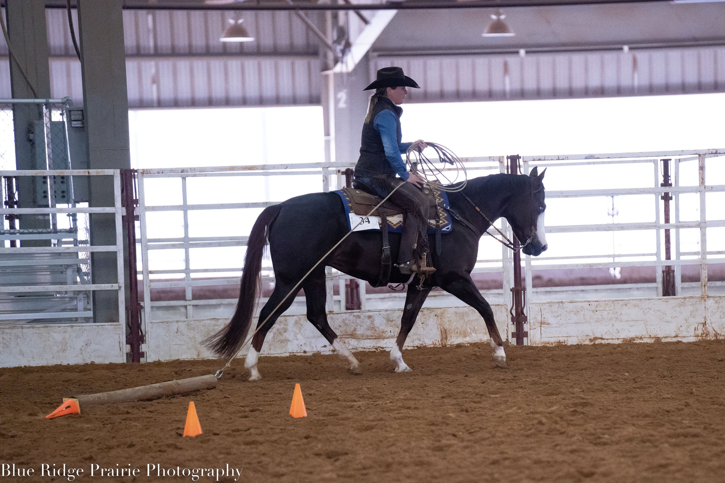 Oklahoma Pinto Horse Association