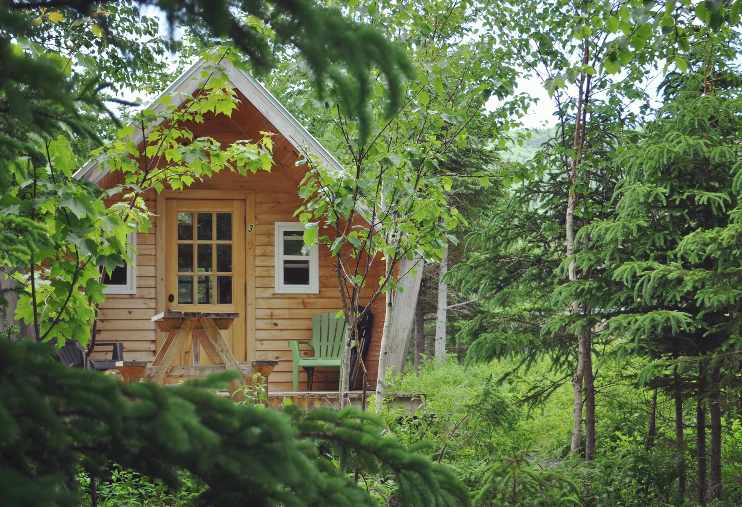 Zzzz Moose Camping Cabins — The Dancing Moose Vacation Rentals