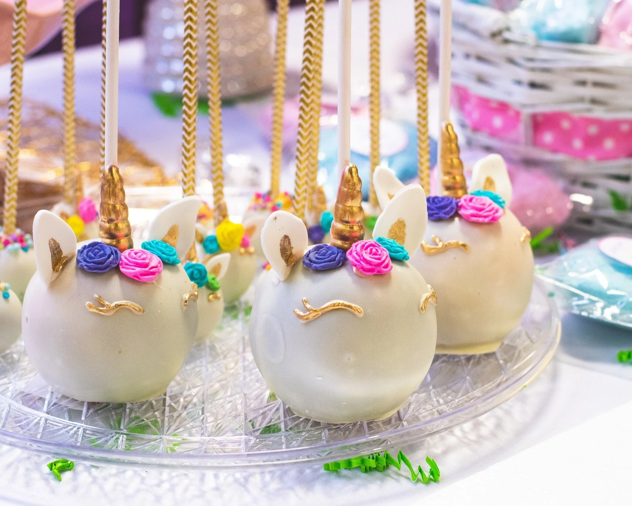 Party Macau - Experience Macau Nightlife, Bachelor Parties And Catering ...