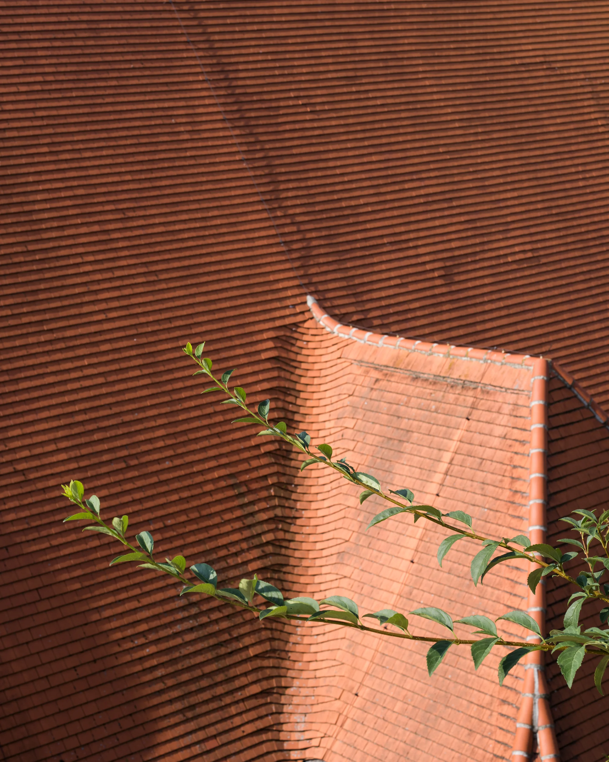 Wide Eyed — JON HORVATH