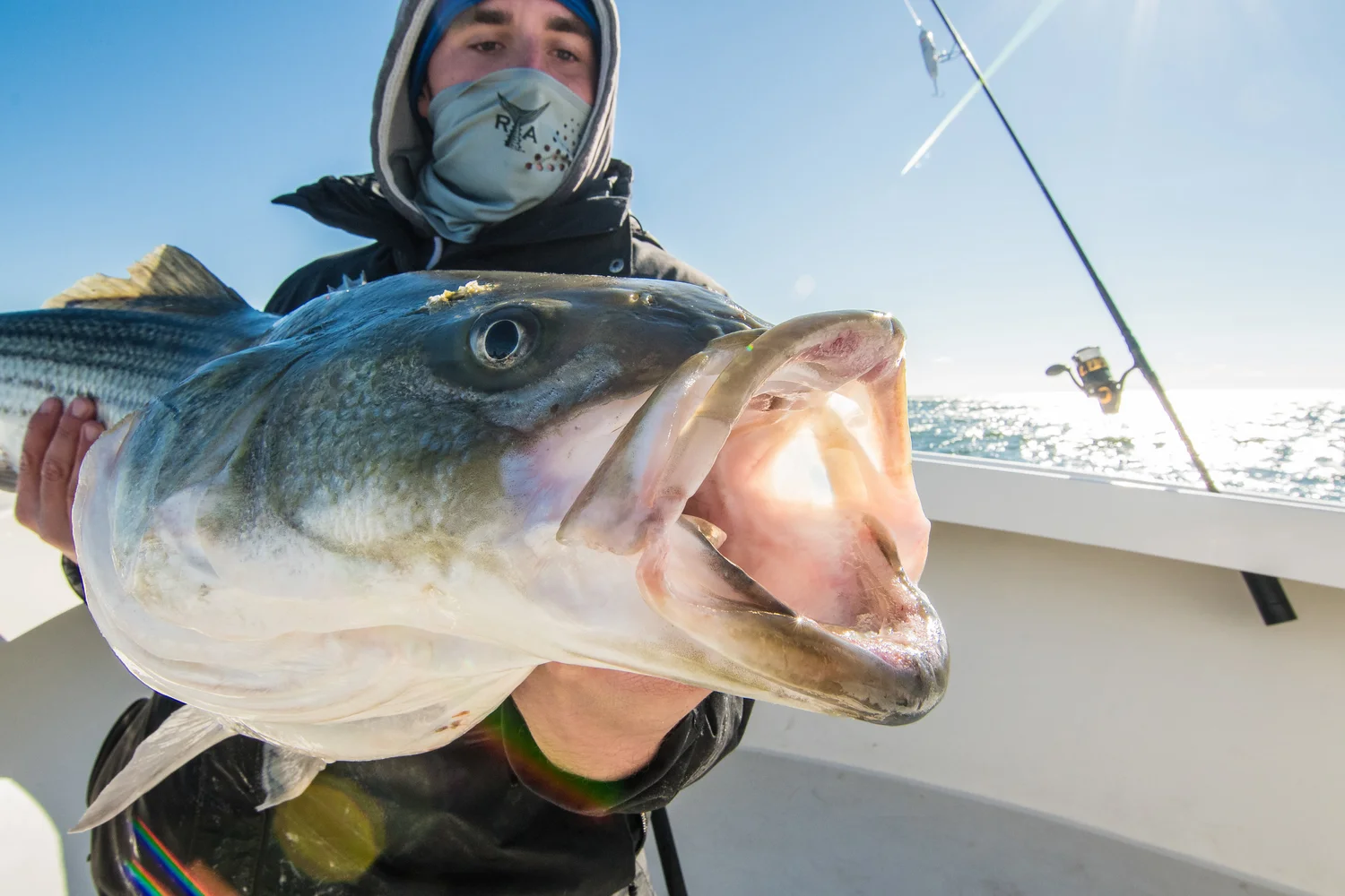 LBI Fishing Charters Frequently Ask Questions — Fish Head Charters