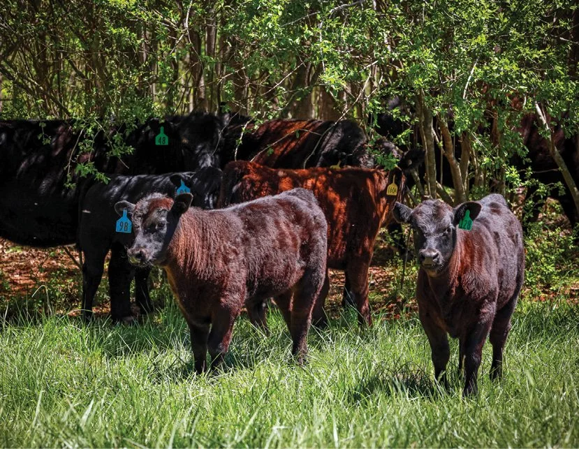 Preserving Farmland for the Future: The Story of Roberts Farm ...