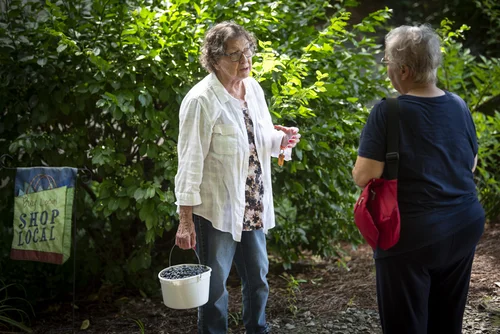SandyCreek Farm — Davidson County Local Food Network