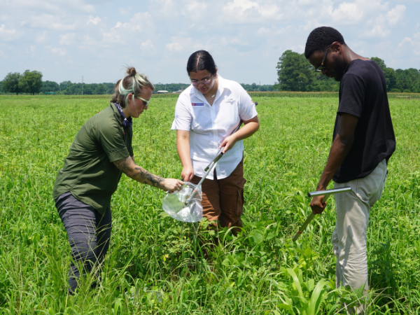 Soil Sampling for Routine Nutrient Analysis — Davidson County Local ...