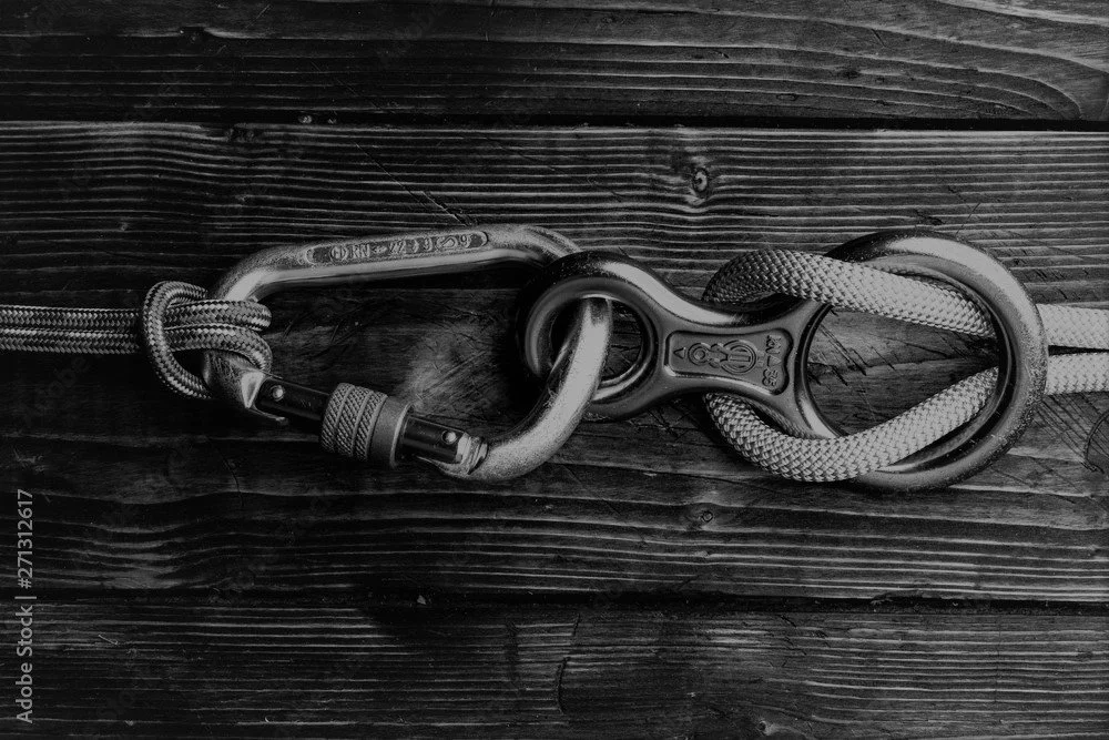 Educational Therapist, ADHD Coach & Academic Coach | Terry Regan