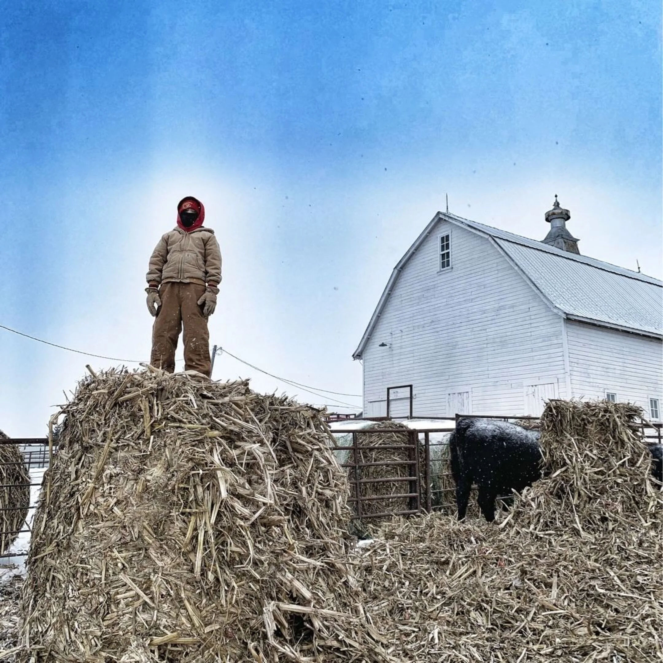 Kevin Farm's Instagram, Twitter & Facebook on IDCrawl