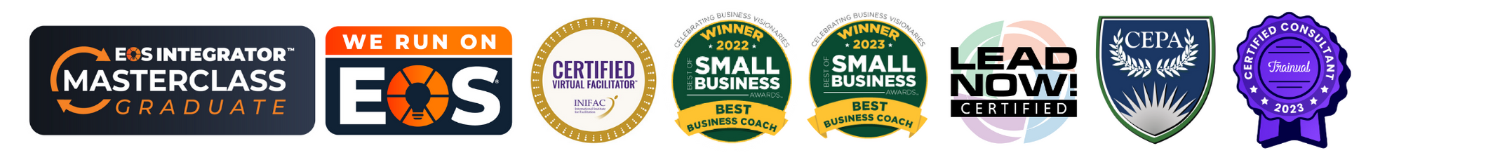 OUR TEAM — CATALYST INTEGRATORS