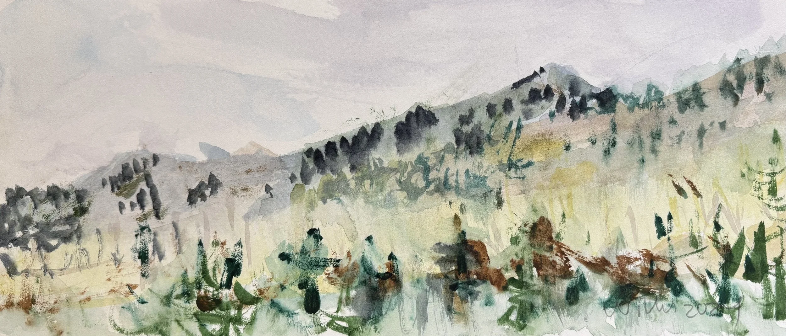 SHOP — Nancy Willis