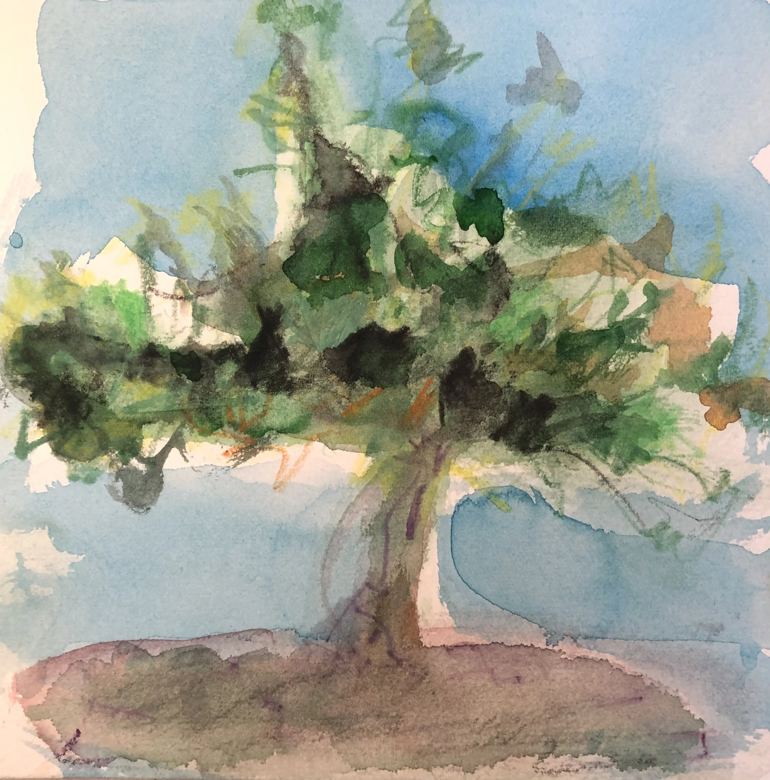 SHOP — Nancy Willis