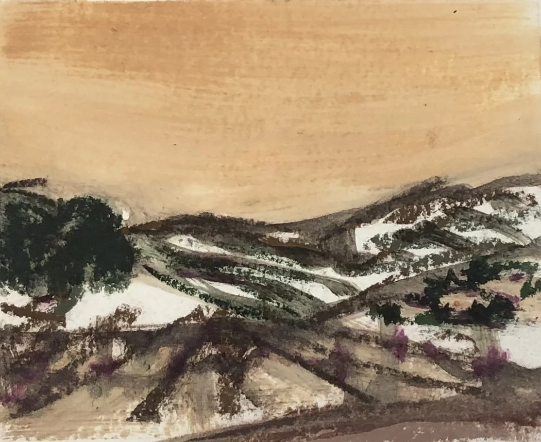 SHOP — Nancy Willis