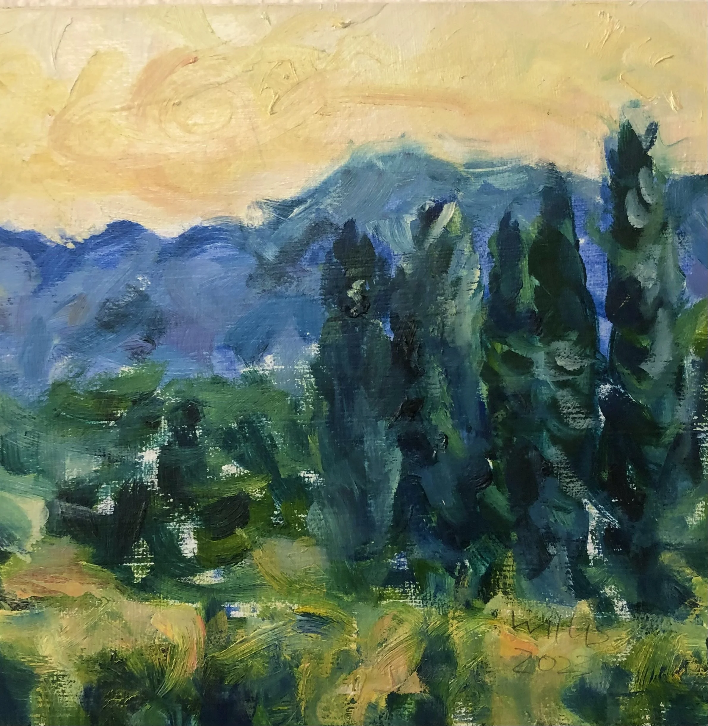 SHOP — Nancy Willis