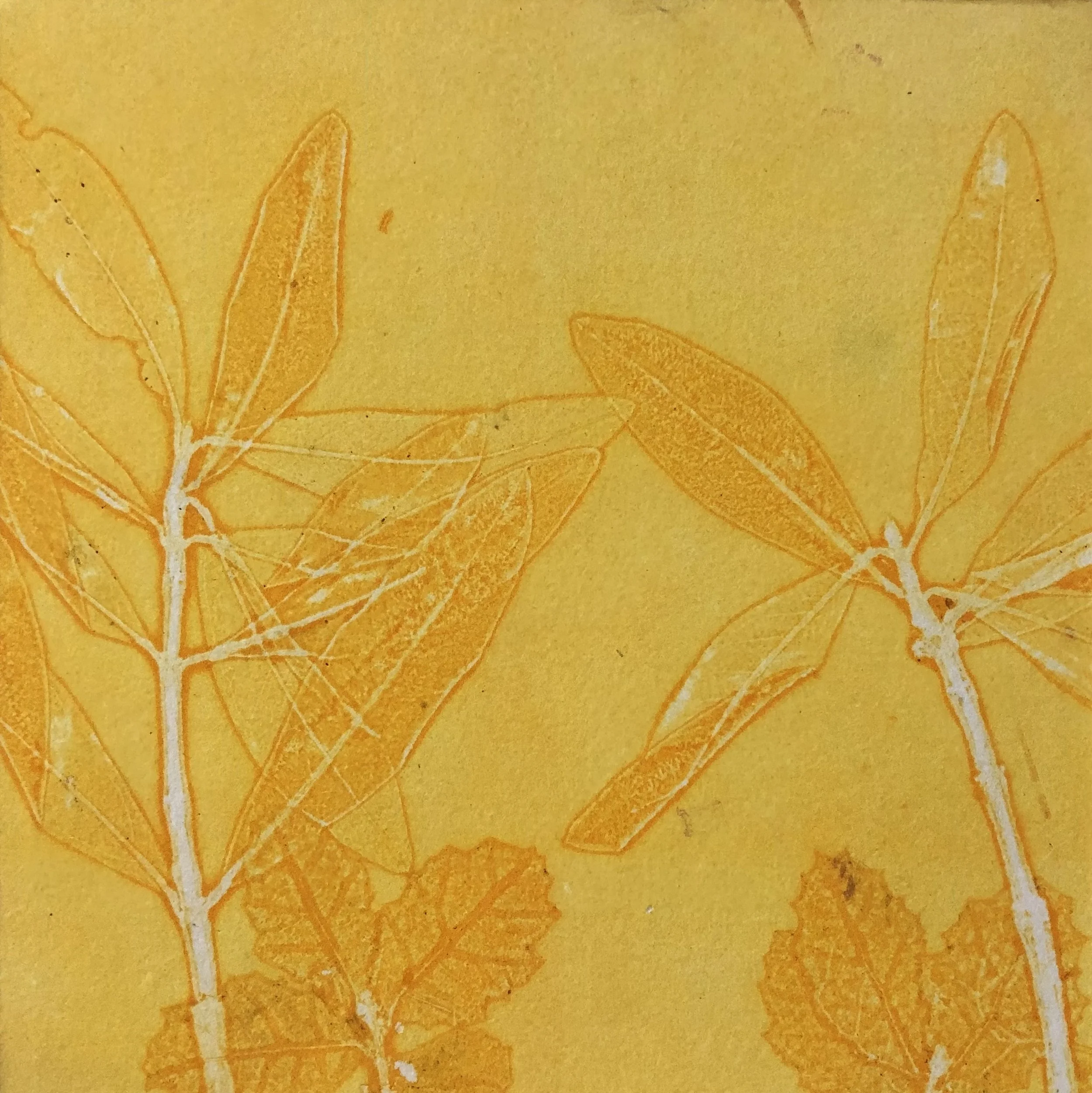 SHOP — Nancy Willis