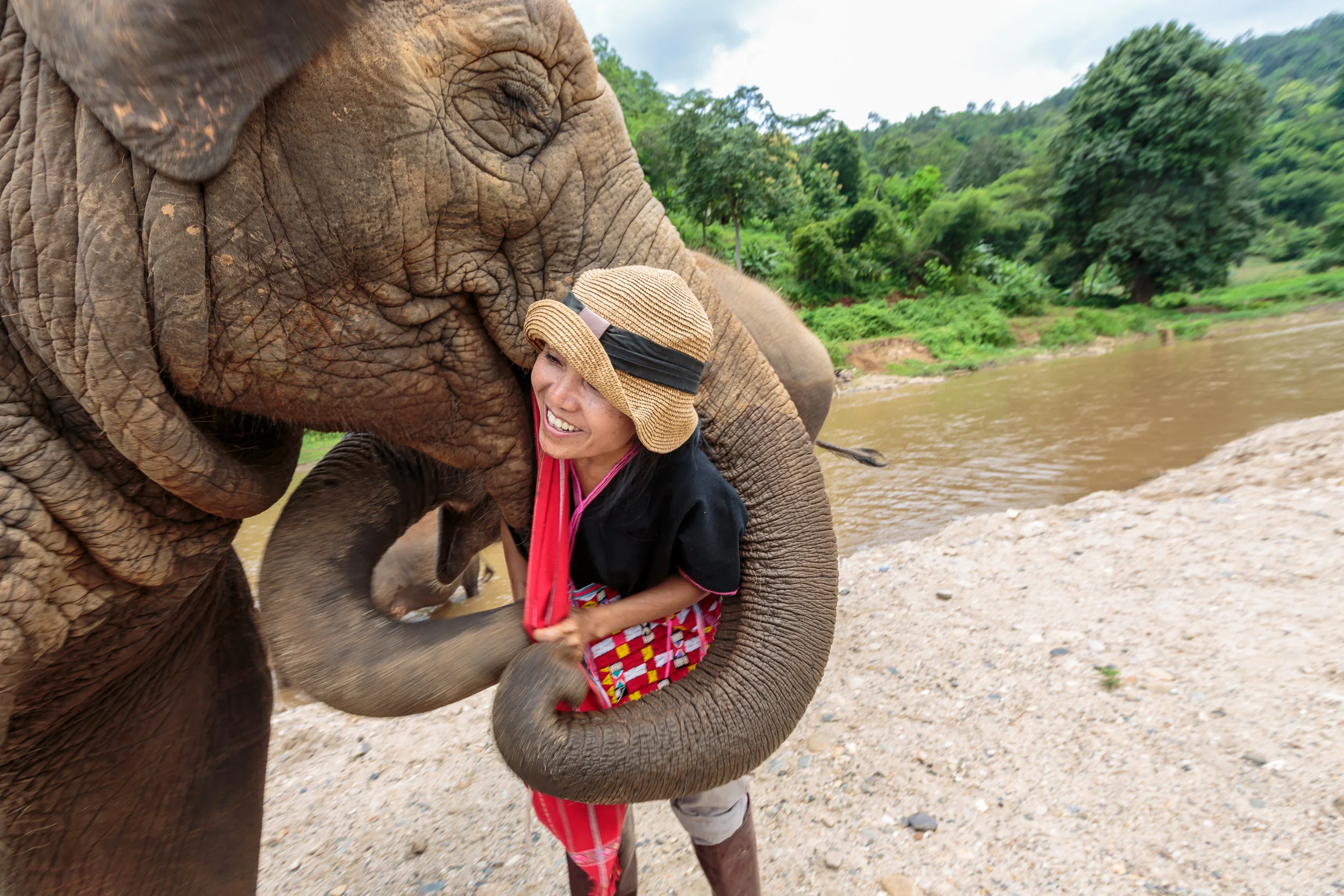 Gavin Gough · Elephant Conservation · Editorial, Humanitarian & Travel ...