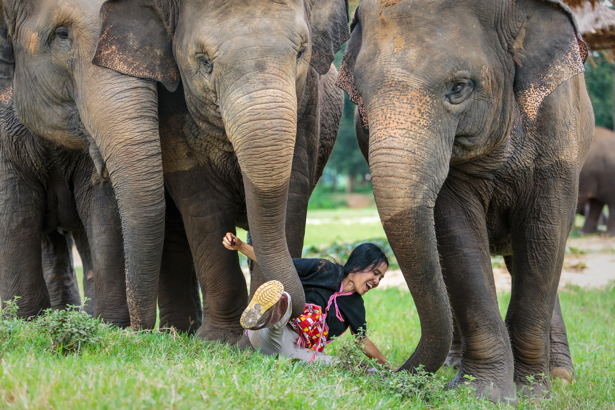 Gavin Gough · Elephant Conservation · Editorial, Humanitarian & Travel ...