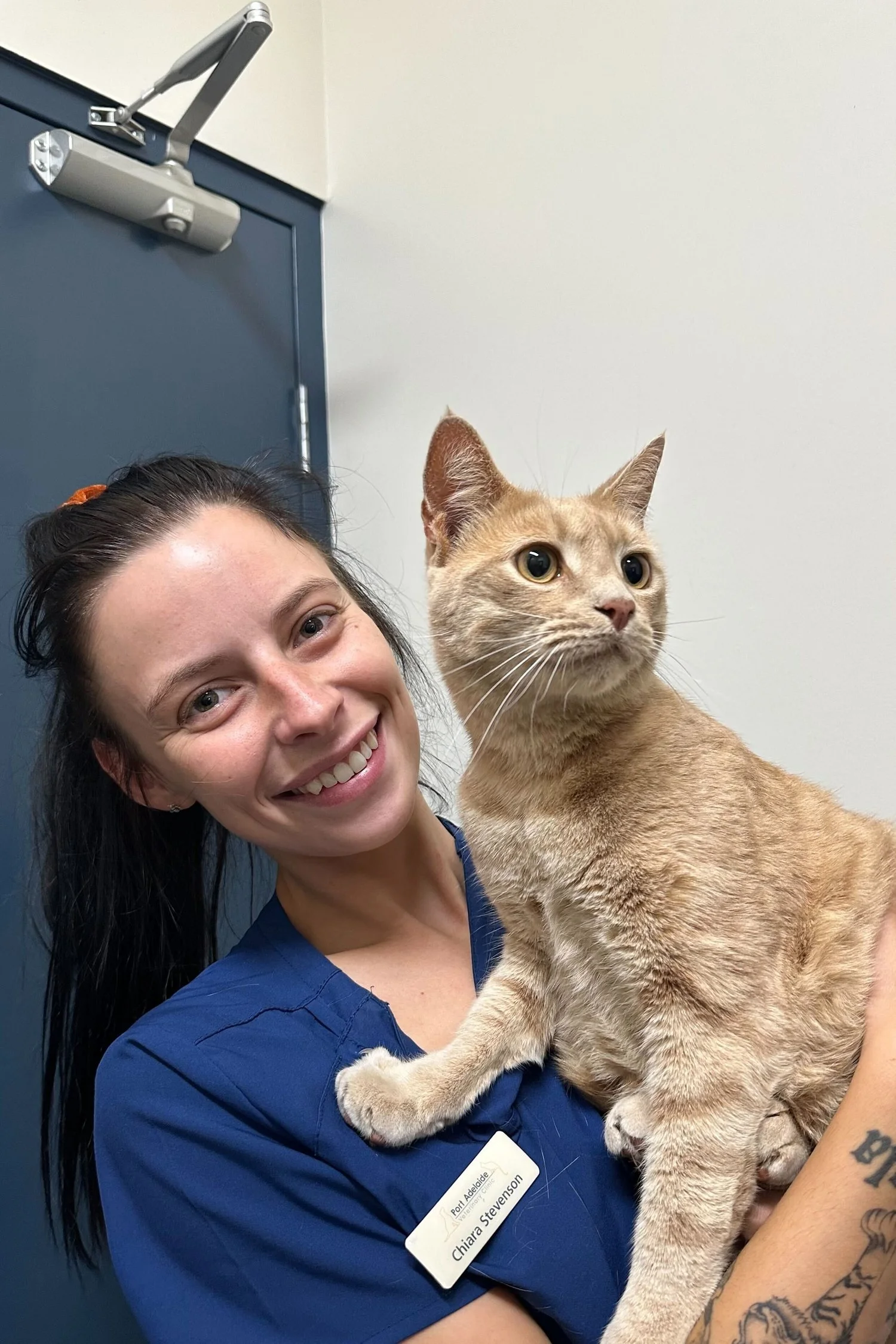 Our Team — Port Adelaide Veterinary Clinic
