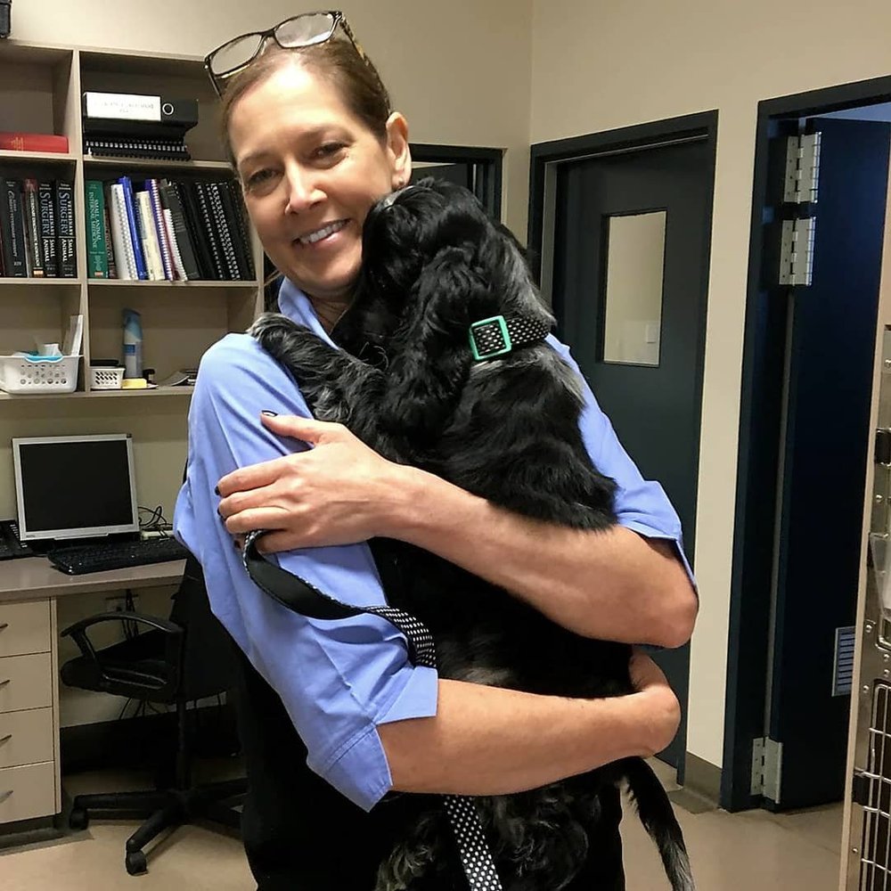 Our Team — Port Adelaide Veterinary Clinic