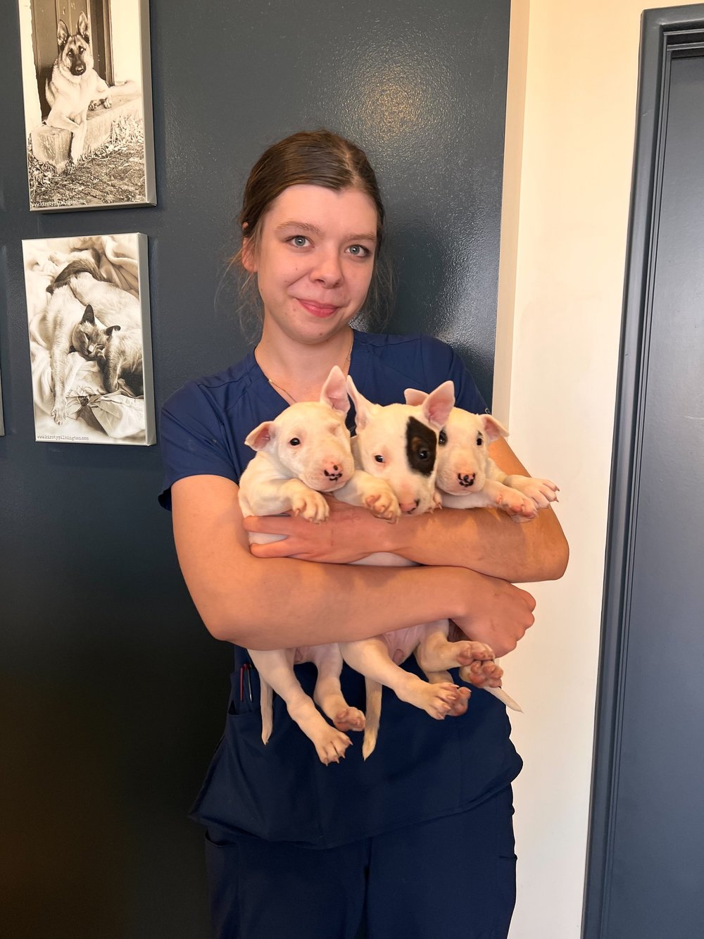 Our Team — Port Adelaide Veterinary Clinic