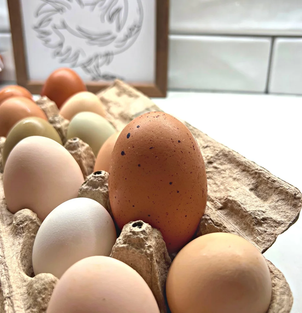 Unusual Eggs! — Purely Chickens