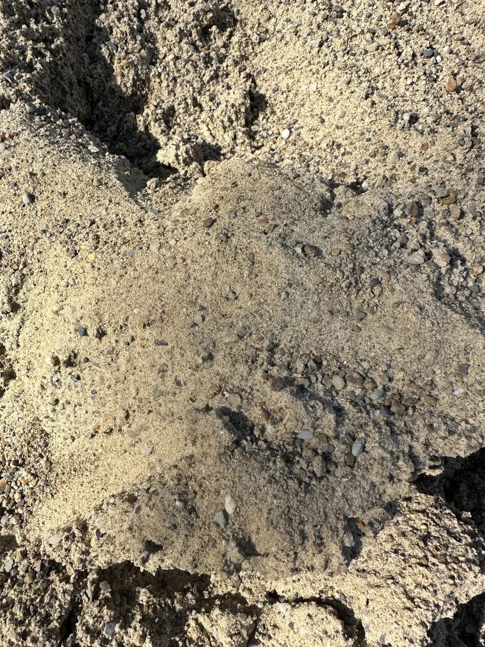 Sand and Bedding — Purely Chickens