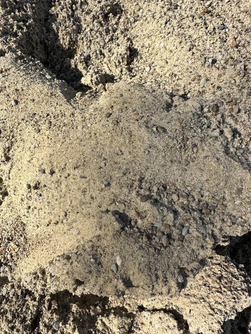 Sand and Bedding — Purely Chickens