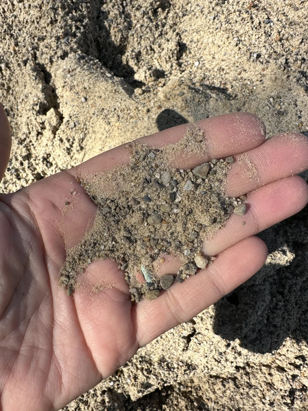 Sand and Bedding — Purely Chickens