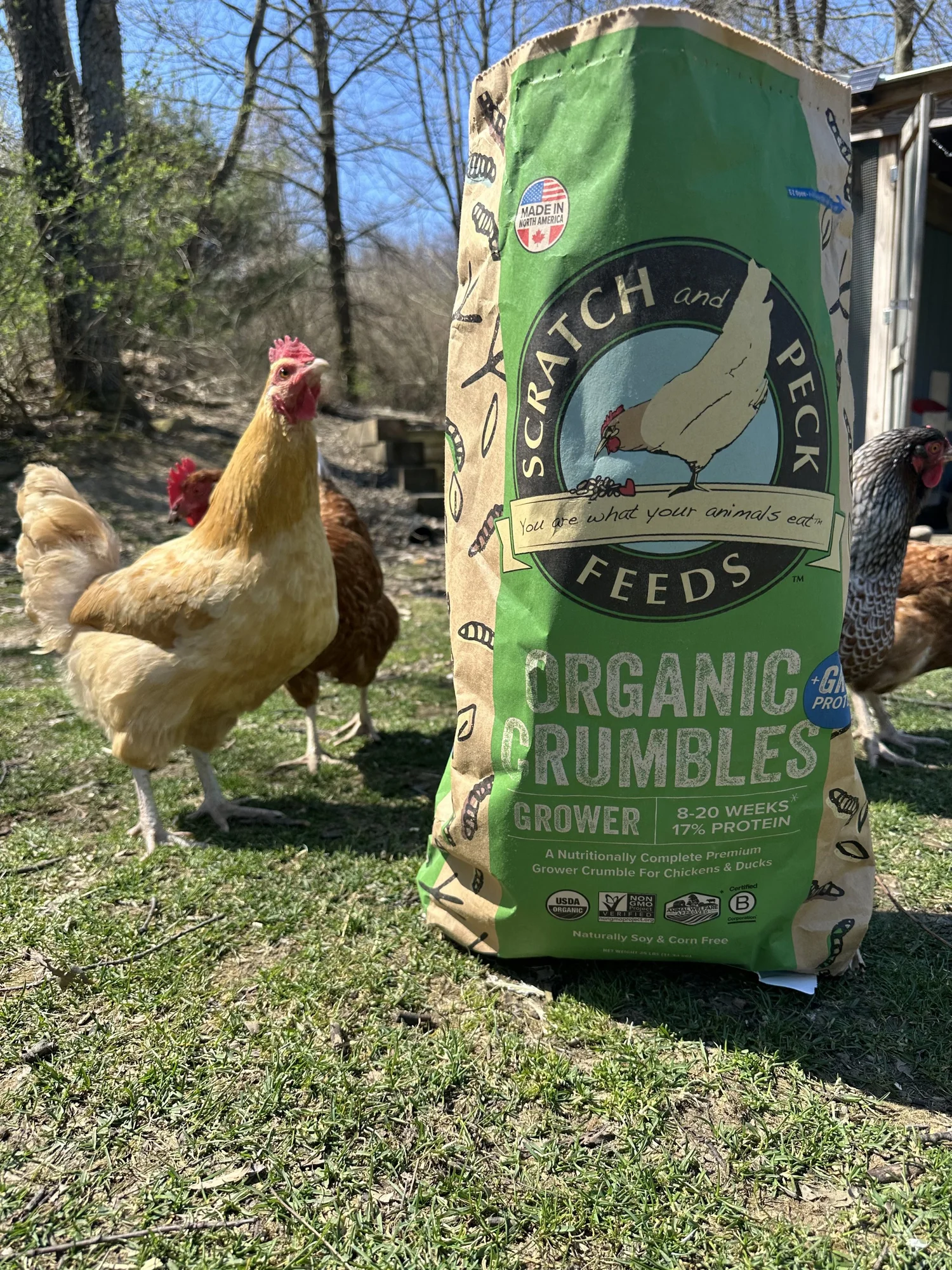 Discount Codes — Purely Chickens