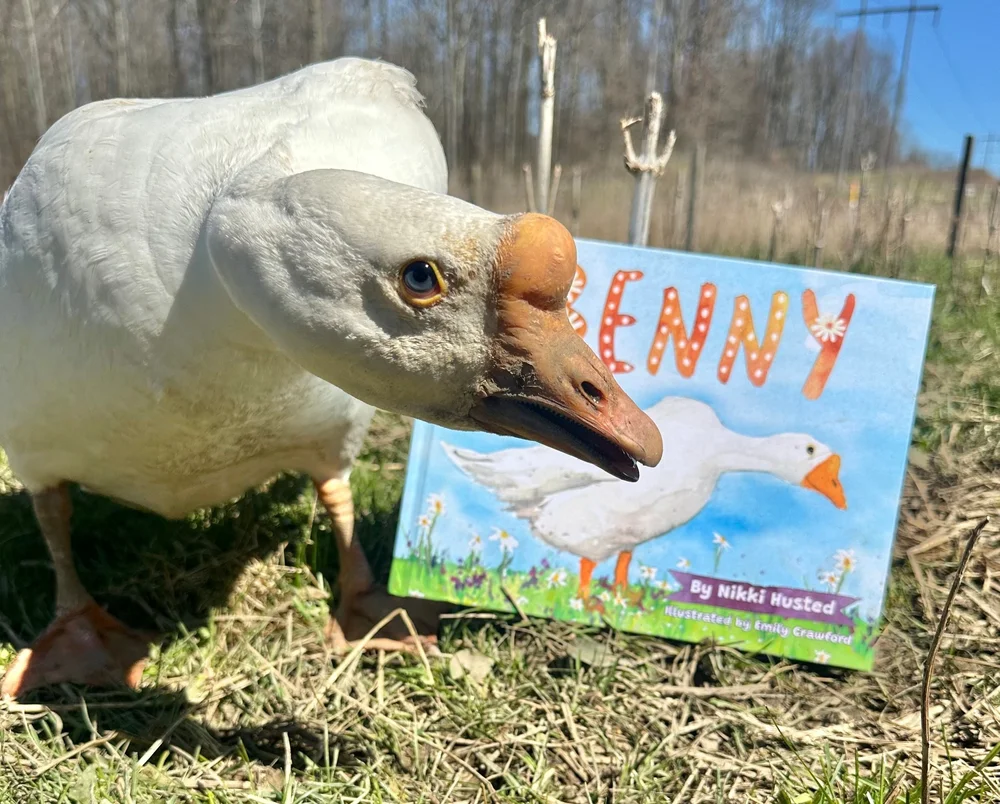 Benny — Purely Chickens