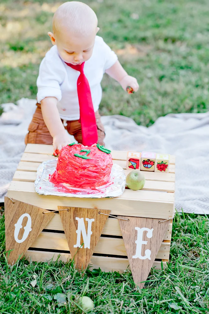 Cake Smash Outdoor Fall Photo Session — YouSee Photography || Virginia ...