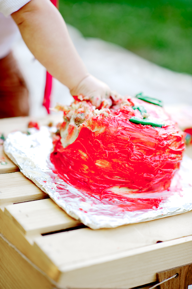 Cake Smash Outdoor Fall Photo Session — YouSee Photography || Virginia ...