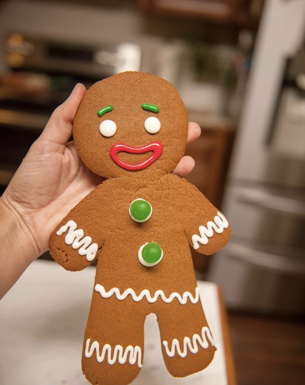 Jr/Kid Chef Shrek's Gingerbread Men - 12/16 — Farmhouse ...