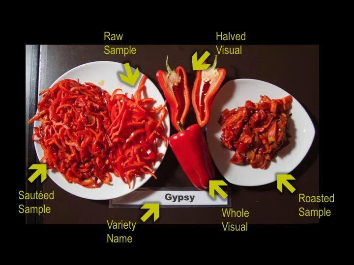 Mission & History — Culinary Breeding Network