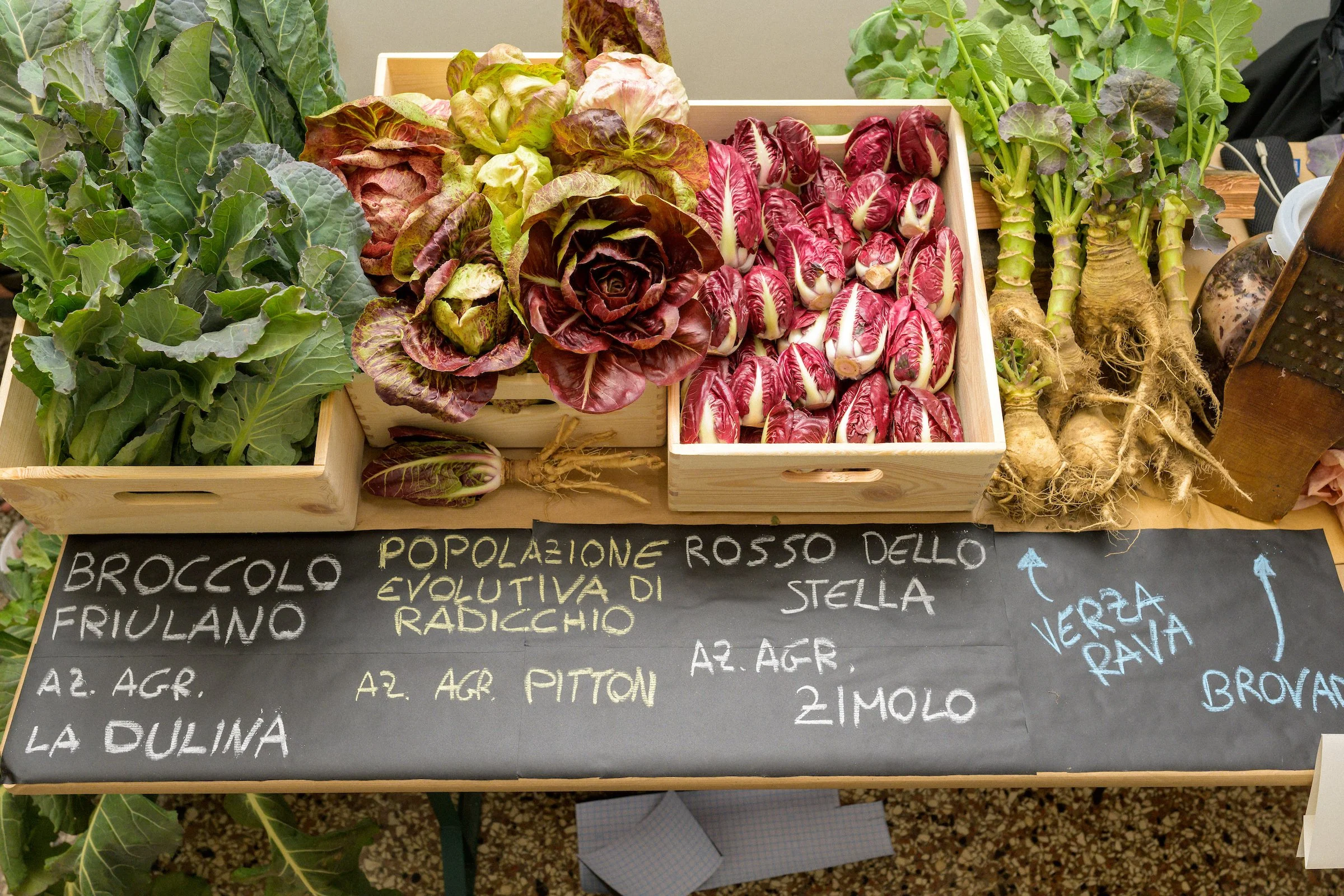 Giàz — Culinary Breeding Network