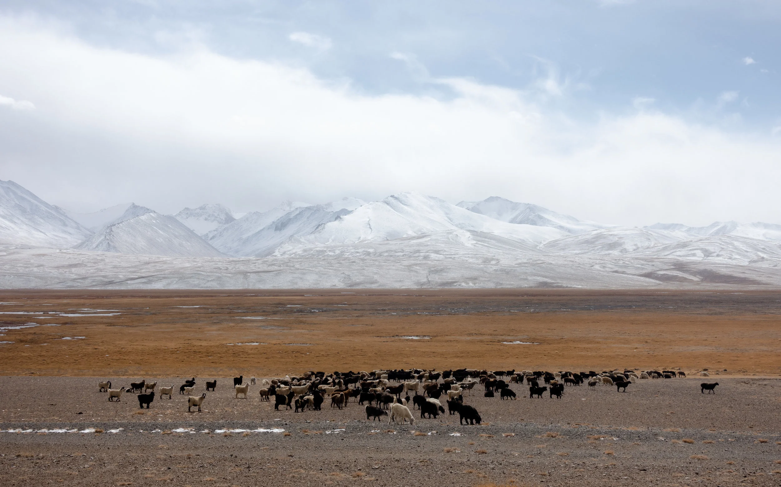 Cycle Touring in Central Asia: the Pamir Highway (Part One) — TWO BIKE TO