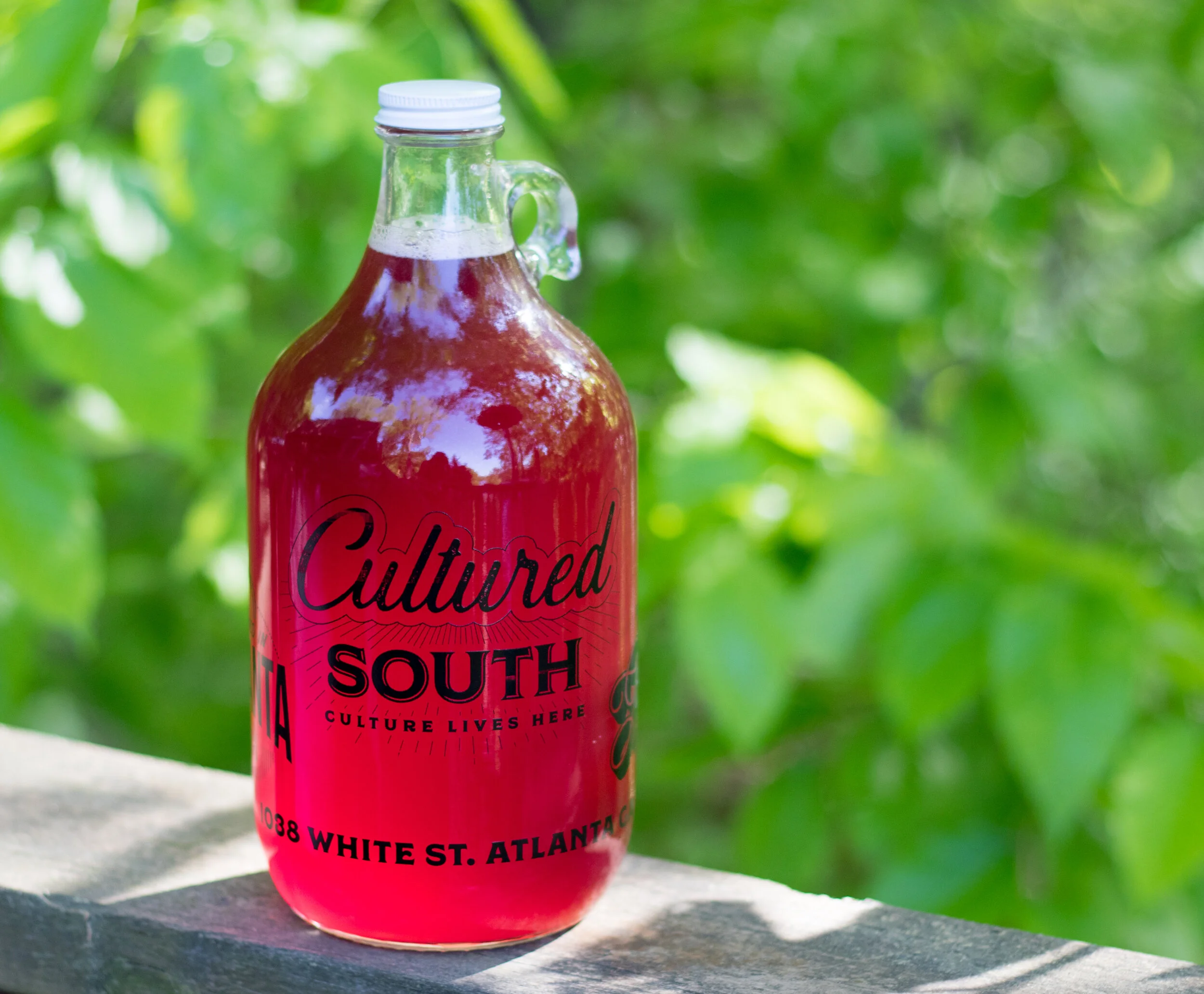 Shop Local Kombucha — Cultured South