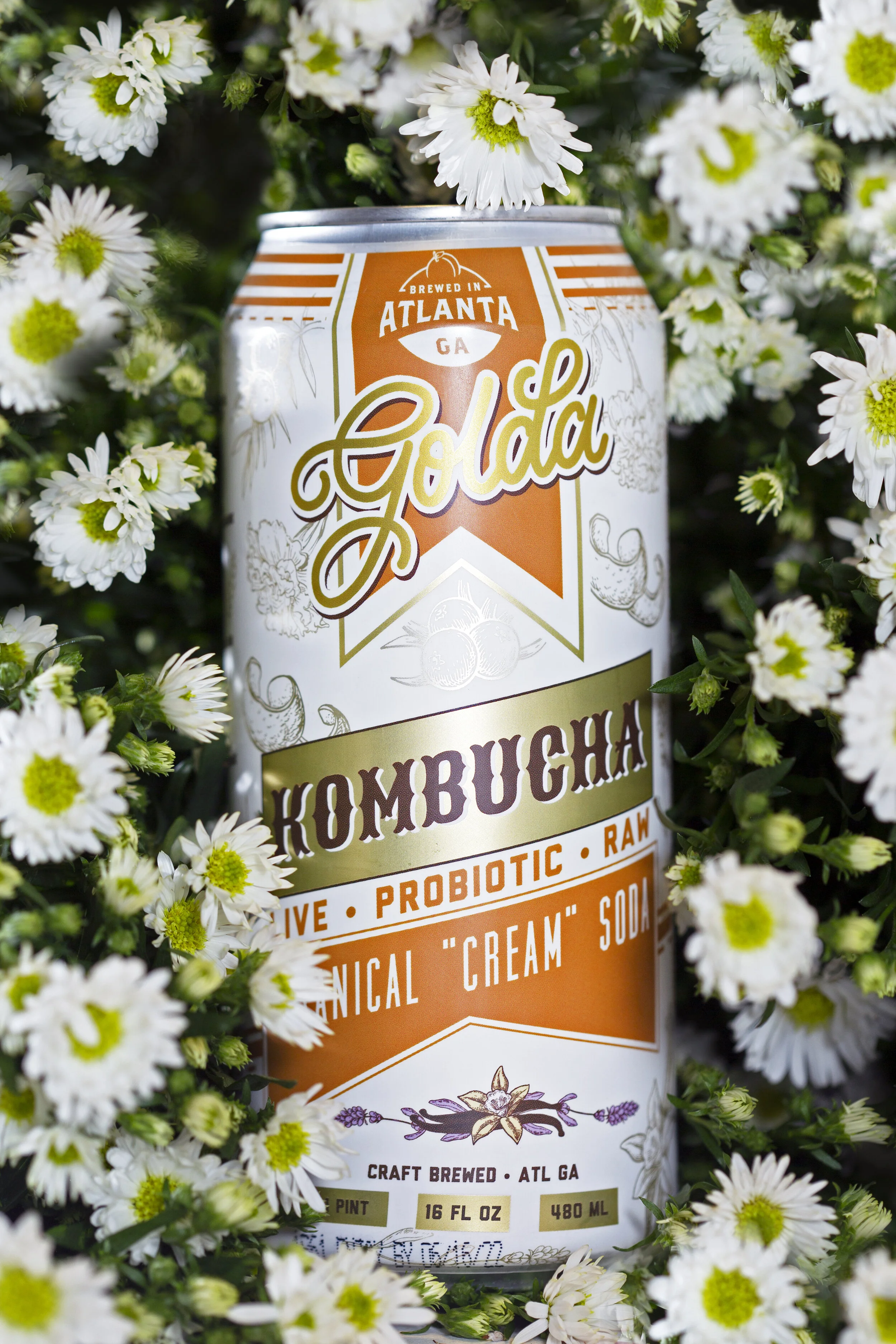 Shop Local Kombucha — Cultured South